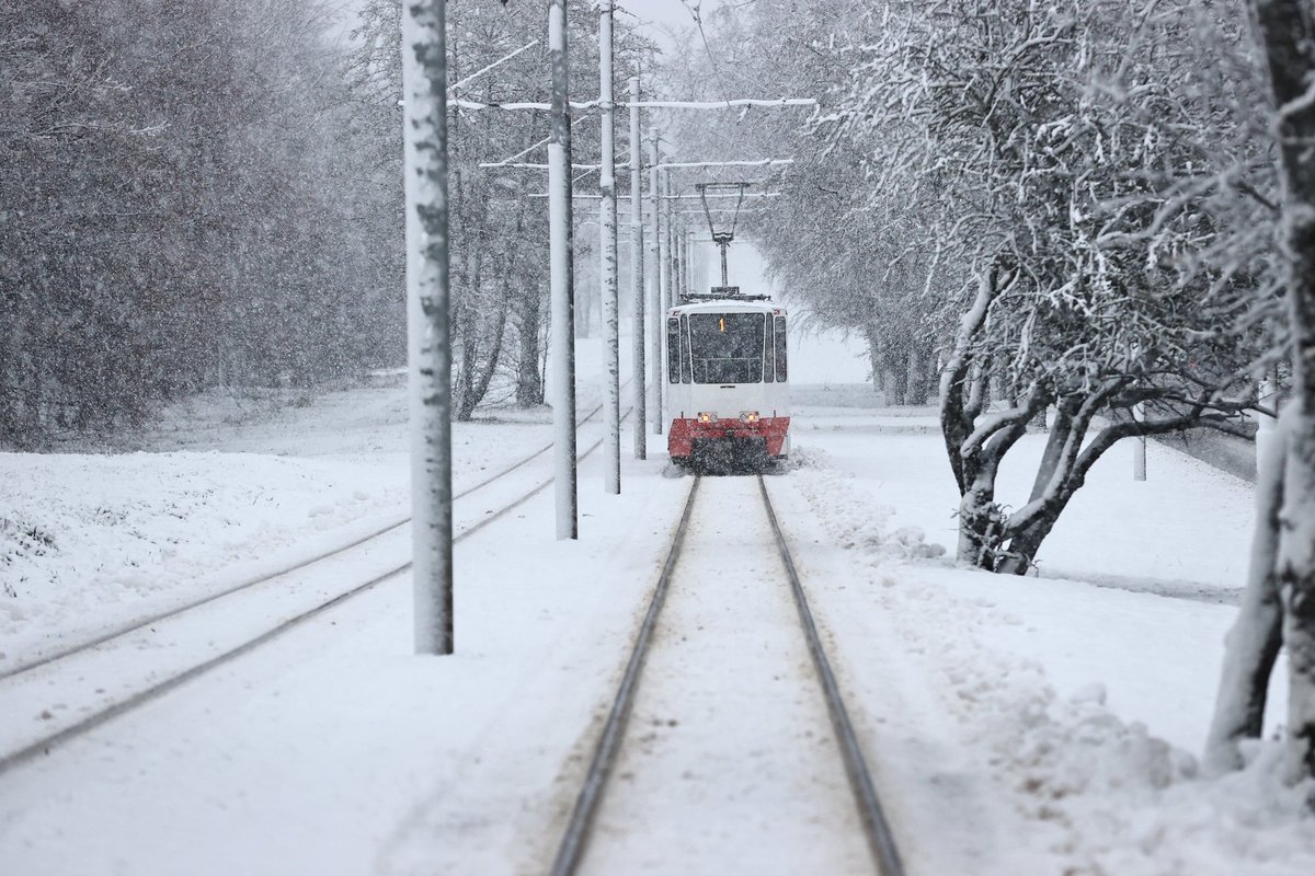VIDEO ja FOTOD | Tihe lörtsisadu paiskas Tallinna liikluse kaosesse ja ... VIDEO ja FOTOD | Tihe lörtsisadu paiskas Tallinna liikluse kaosesse ja ...