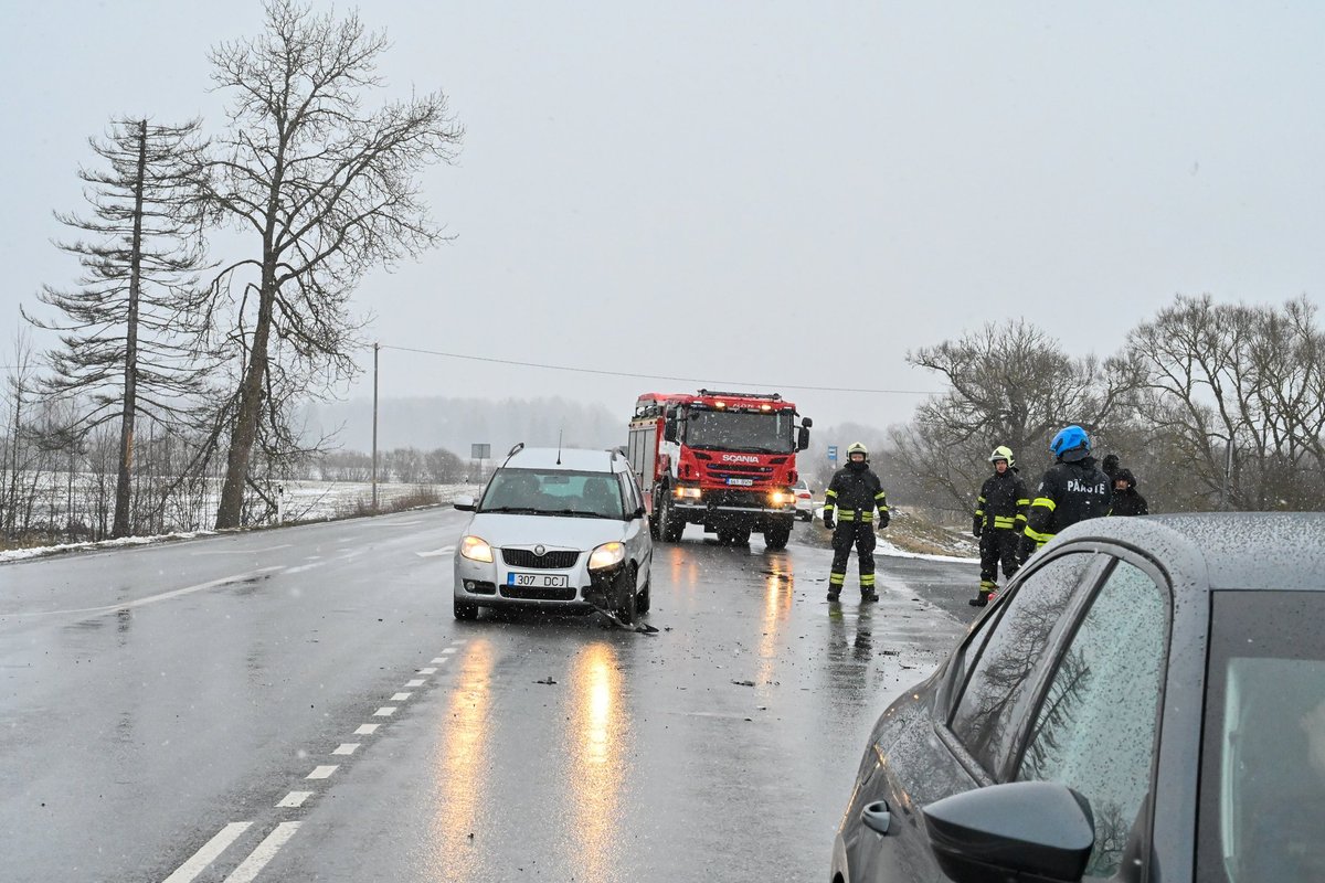 FOTOD | Järvamaal põrkasid kokku kaks autot - Delfi FOTOD | Järvamaal põrkasid kokku kaks autot - Delfi